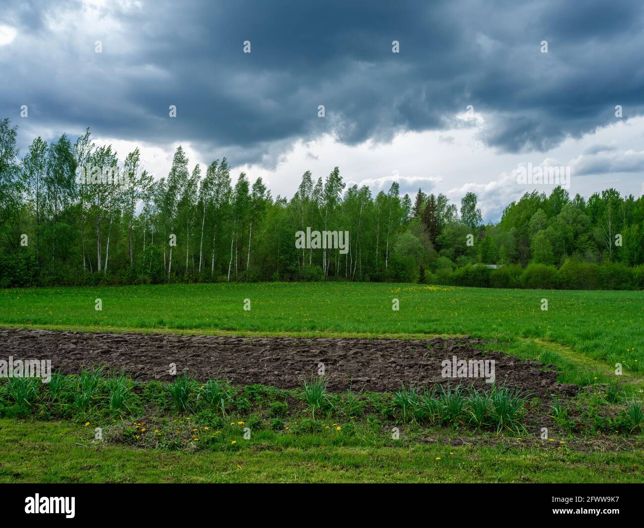 broken summer clouds over countryside fields and meadows in summer with ...