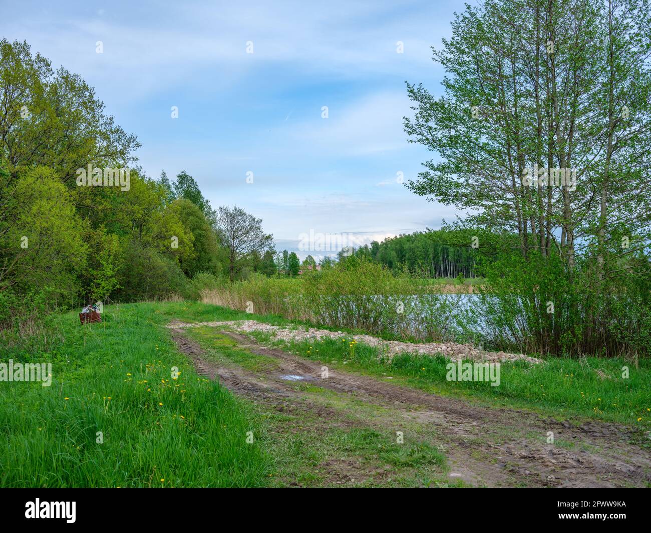 broken summer clouds over countryside fields and meadows in summer with ...