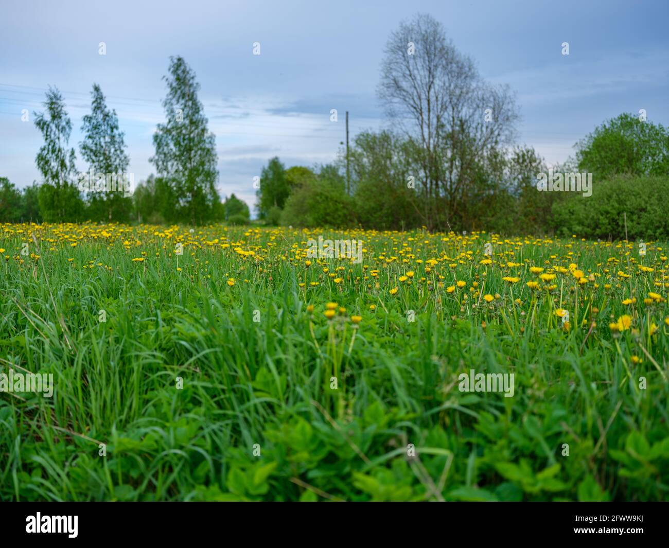 broken summer clouds over countryside fields and meadows in summer with ...
