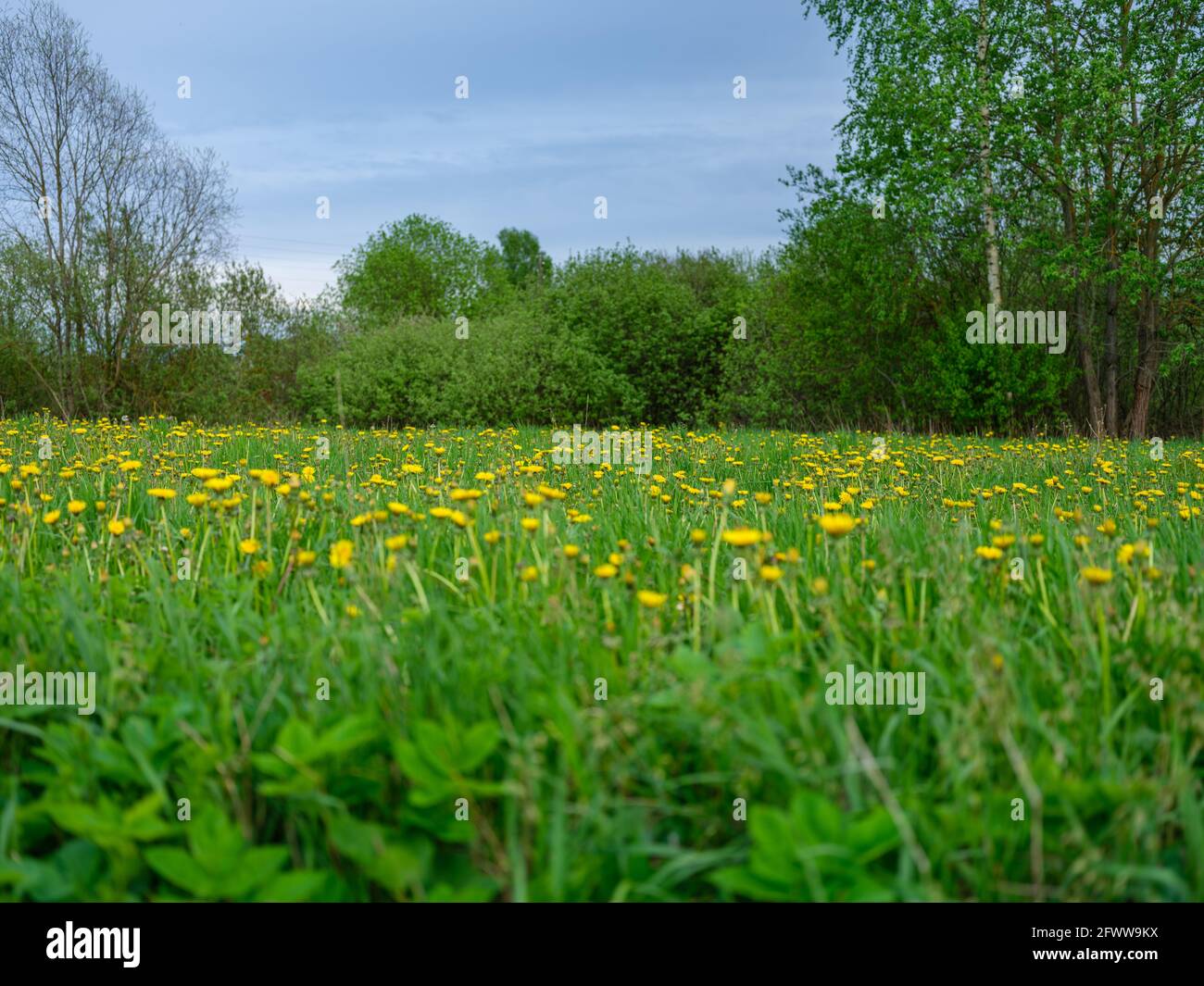 broken summer clouds over countryside fields and meadows in summer with ...