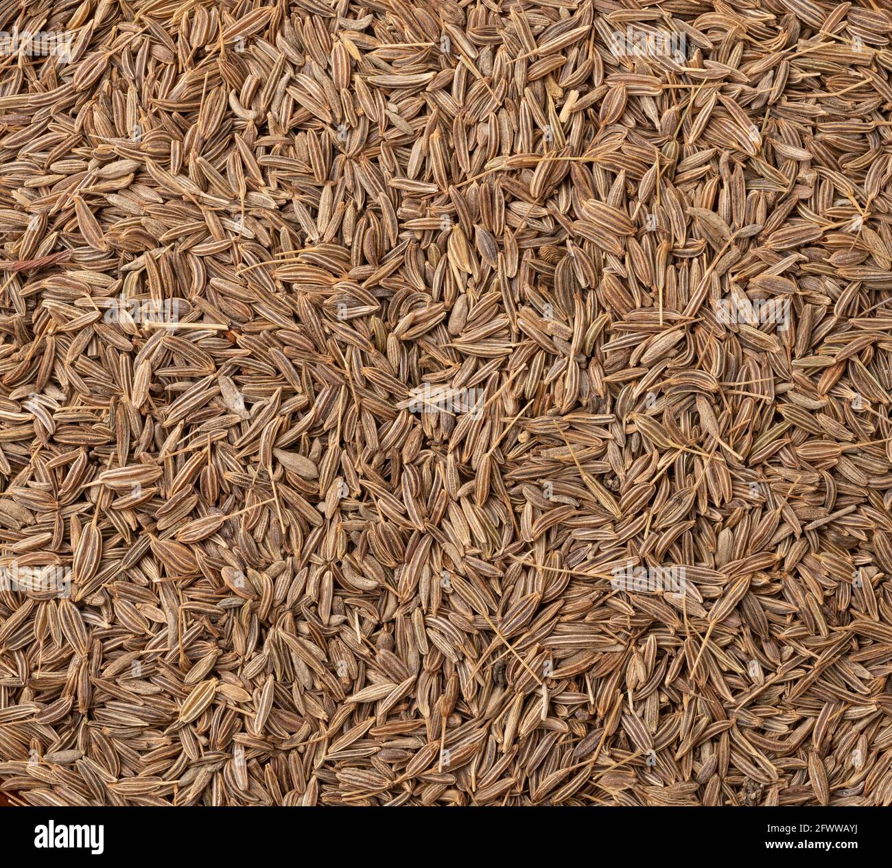 Top view, closeup of cumin seeds. Food backdrop Stock Photo - Alamy