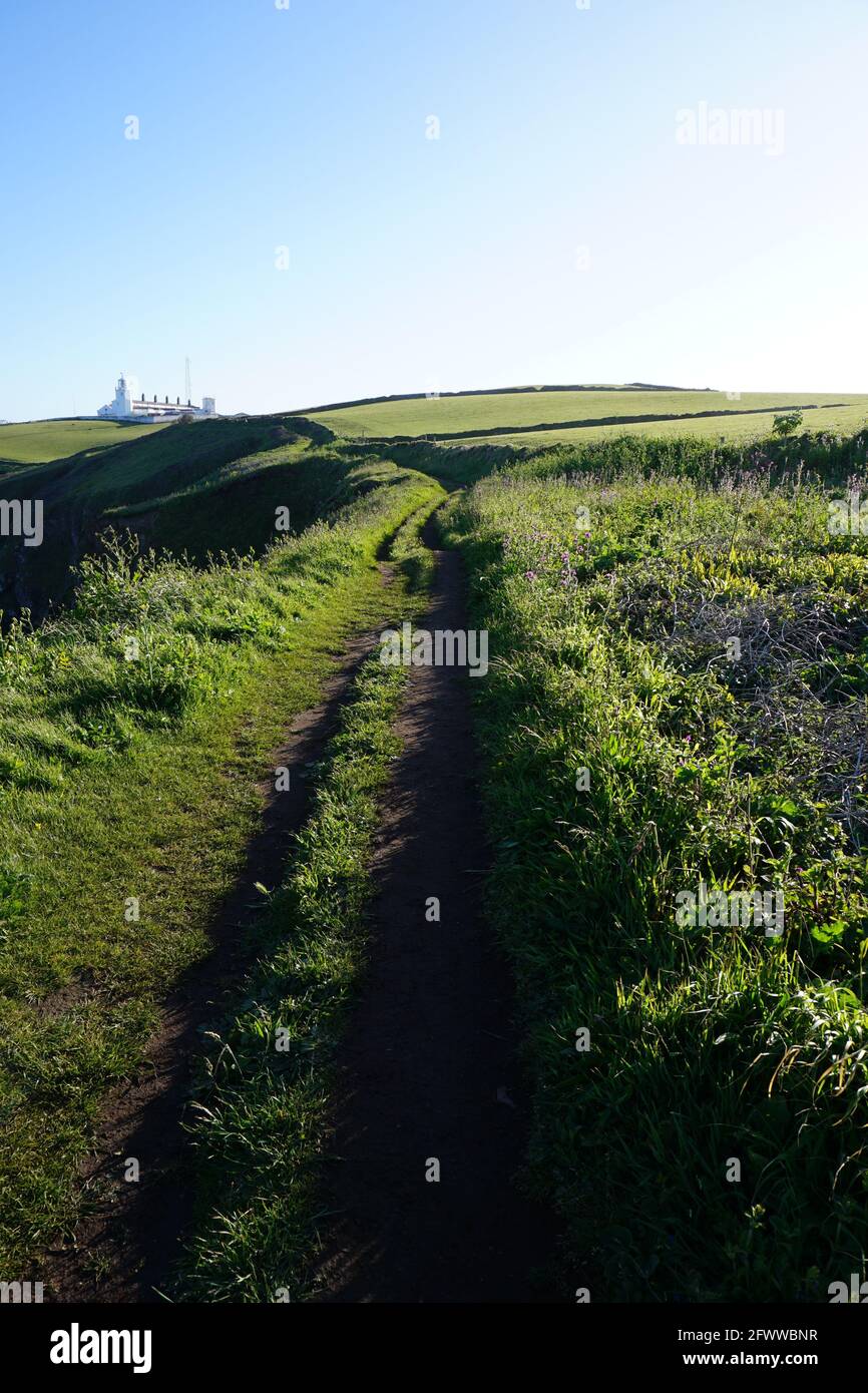 A cliff path on the Lizard Peninsula, Cornwall Stock Photo - Alamy