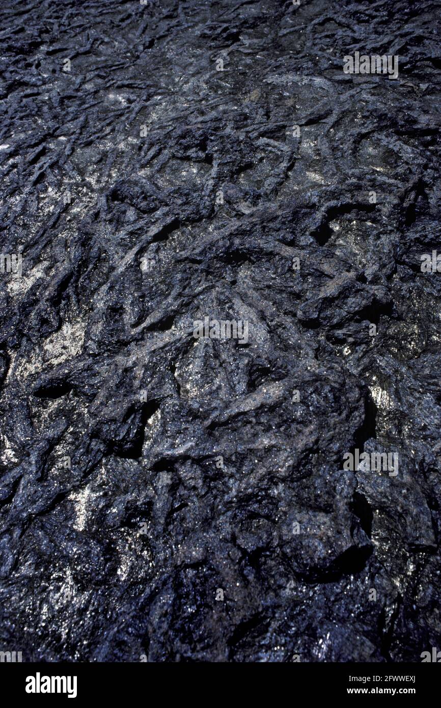 Fossil Worm Burrows; Grand Canyon; Arizona USA Stock Photo - Alamy