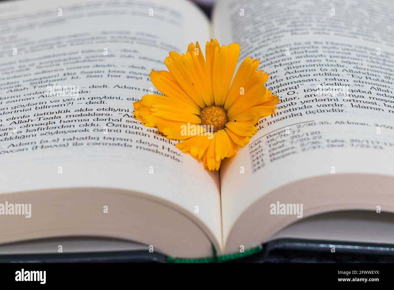 Romanticism in literature hi-res stock photography and images - Alamy