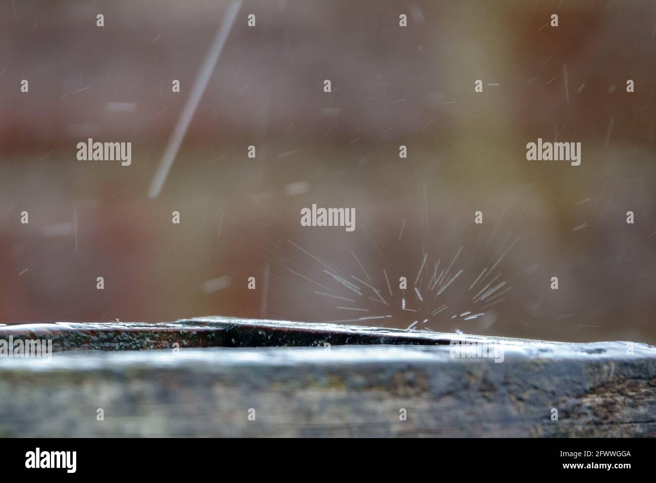 rain droplets captured on impacting a small pool of water and bouncing ...