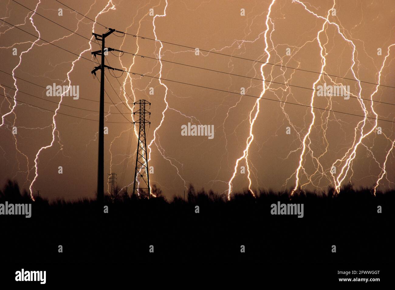 Powerlines silhouetted by multiple lightning strikes along a forested ...