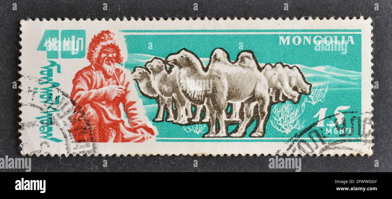Cancelled postage stamp printed by Mongolia, that shows Bactrian Camel ...
