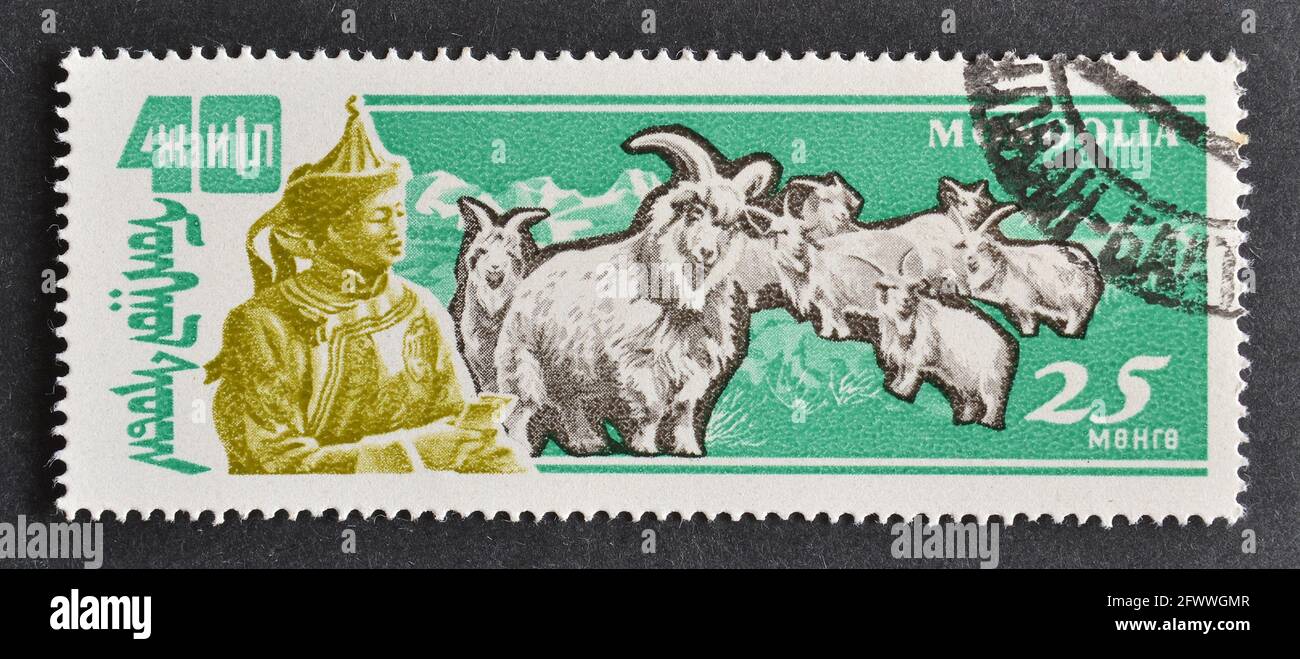 Cancelled postage stamp printed by Mongolia, that shows Goat (Capra ...
