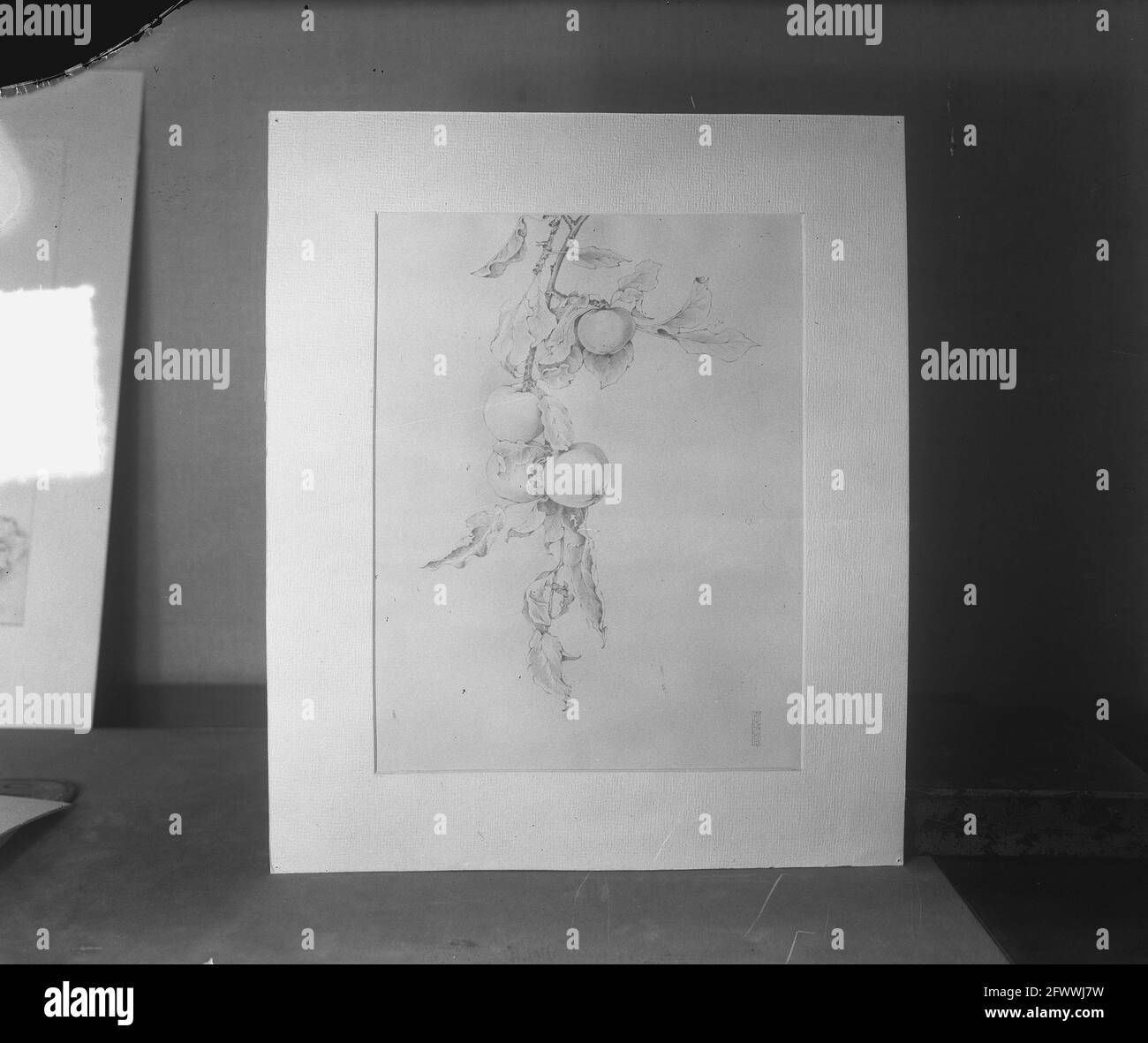 Miss bugel hi-res stock photography and images - Alamy