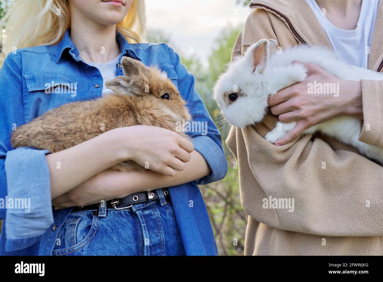 Teenagers with rabbits in their hands, pets a couple of decorative ...