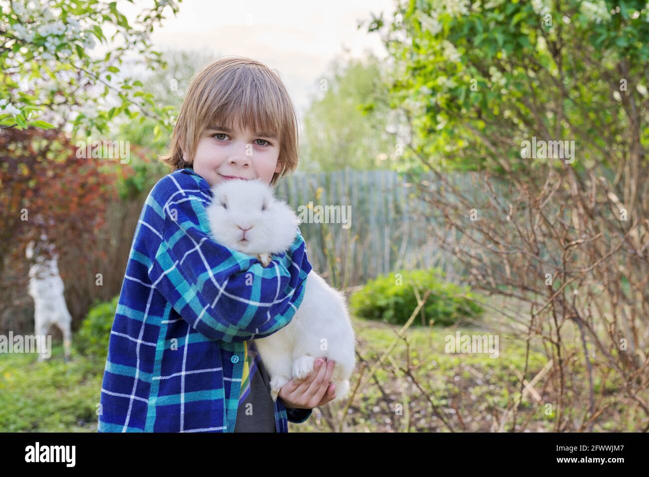Child feeding rabbit hi-res stock photography and images - Alamy
