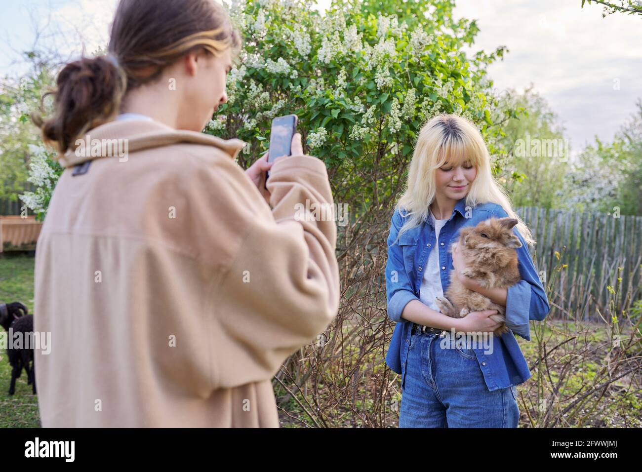 The guy is teenager photographing girlfriend with decorative rabbit in ...