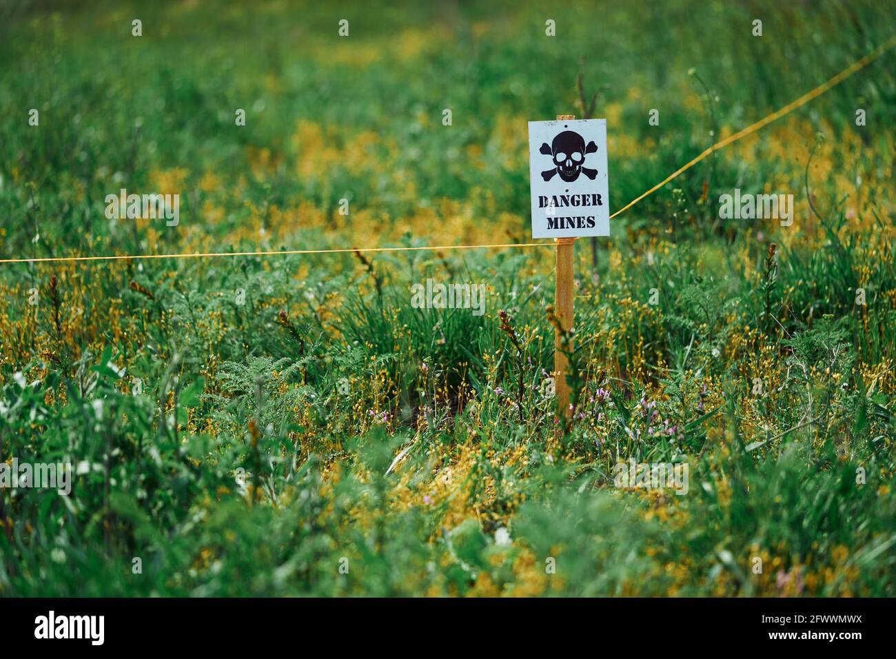 Danger poison skull yellow sign hi-res stock photography and images - Alamy