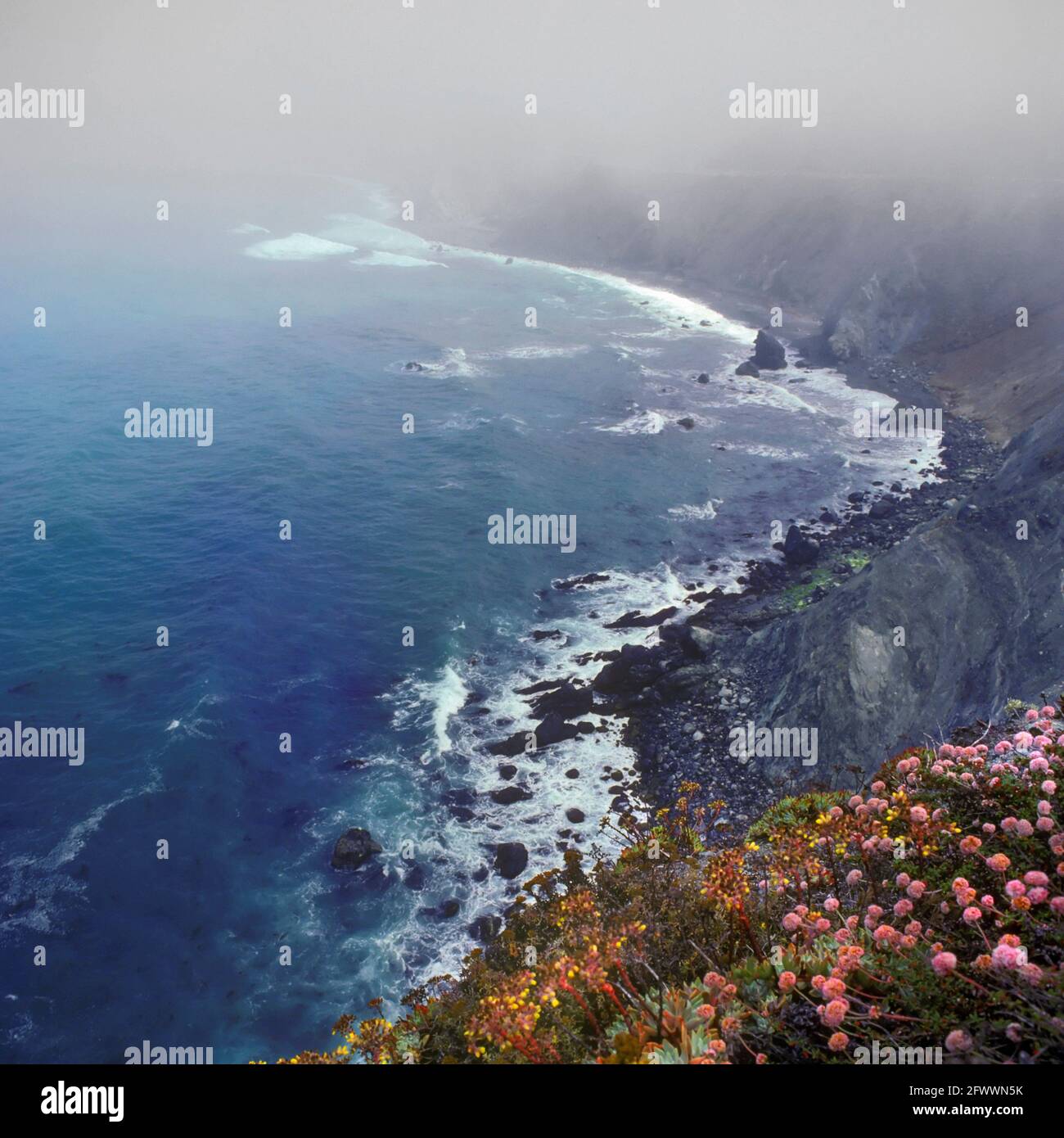 View North From Ragged Point at Big Sur Stock Photo - Alamy