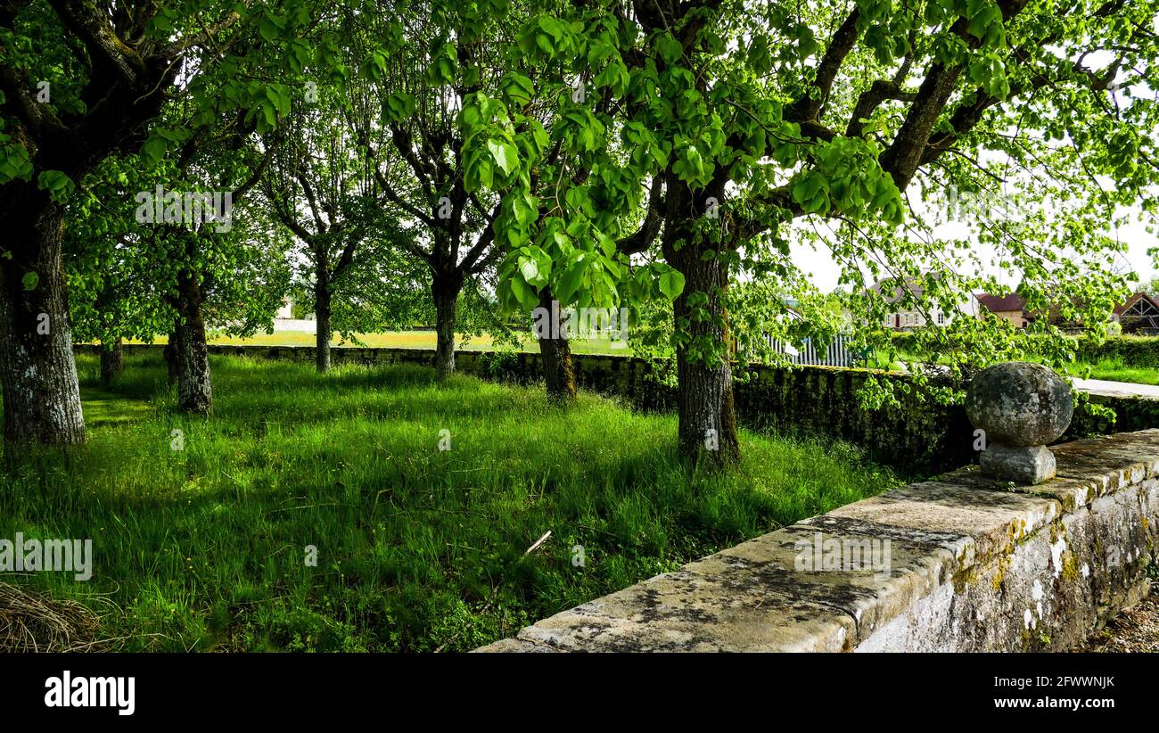 Mac Mahon castle, Sully, Saône et Loire, Burgundy, Bourgogne-Franche ...