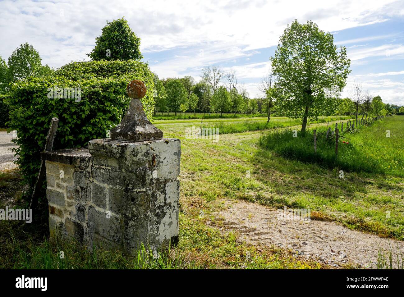 Mac Mahon castle, Sully, Saône et Loire, Burgundy, Bourgogne-Franche ...