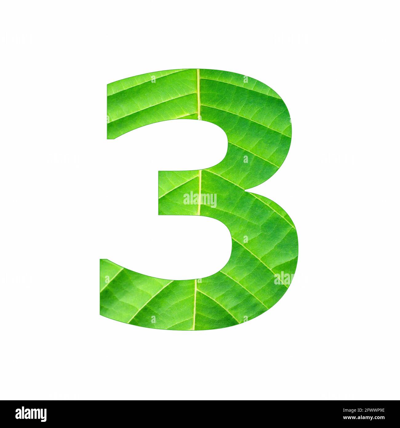 Digit number 3 - Green leaf plant background Stock Photo - Alamy