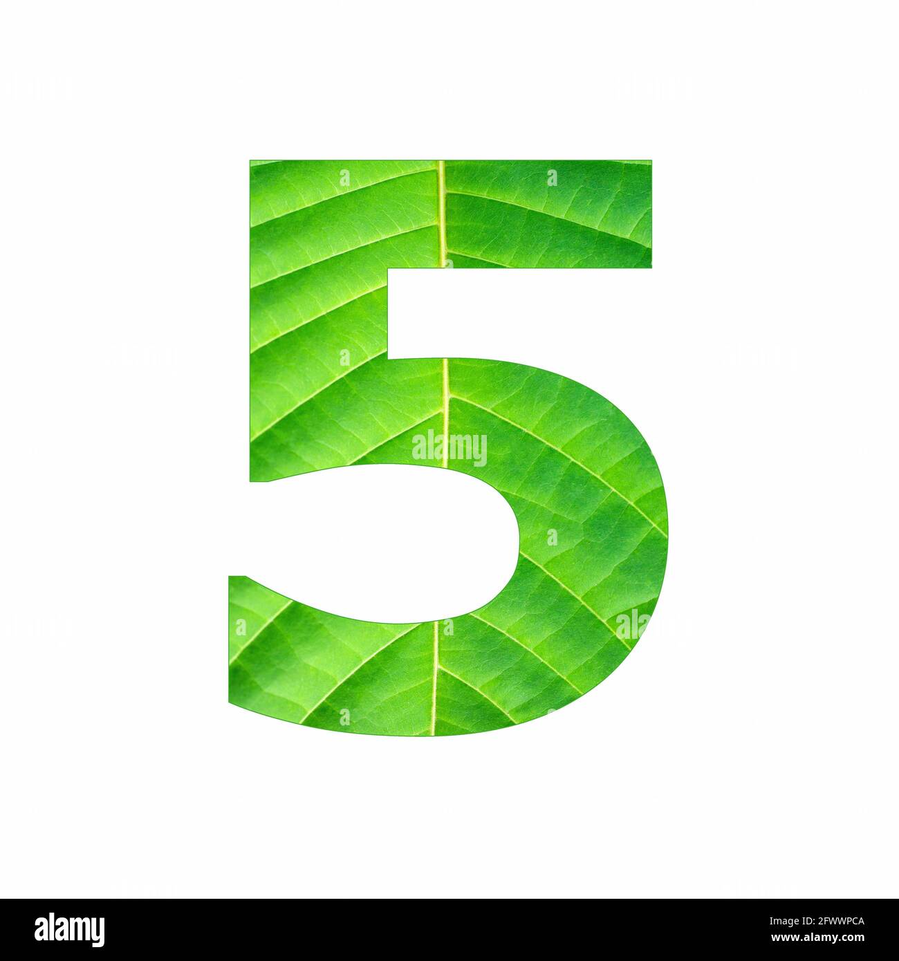 Digit number 5 - Green leaf plant background Stock Photo - Alamy