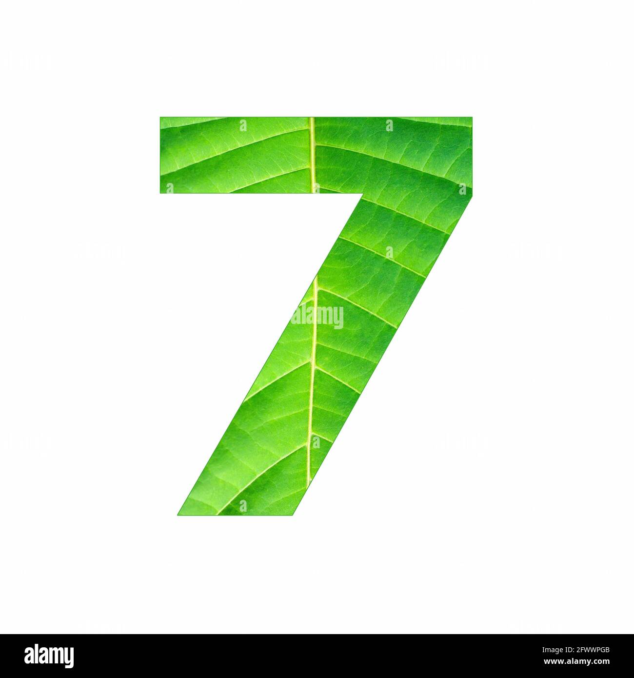 Digit number 7 - Green leaf plant background Stock Photo - Alamy