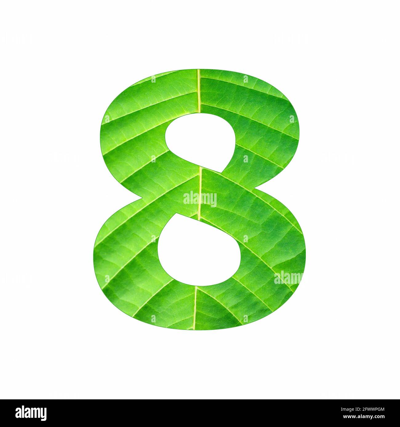 Tropical green leaf texture hi-res stock photography and images - Alamy