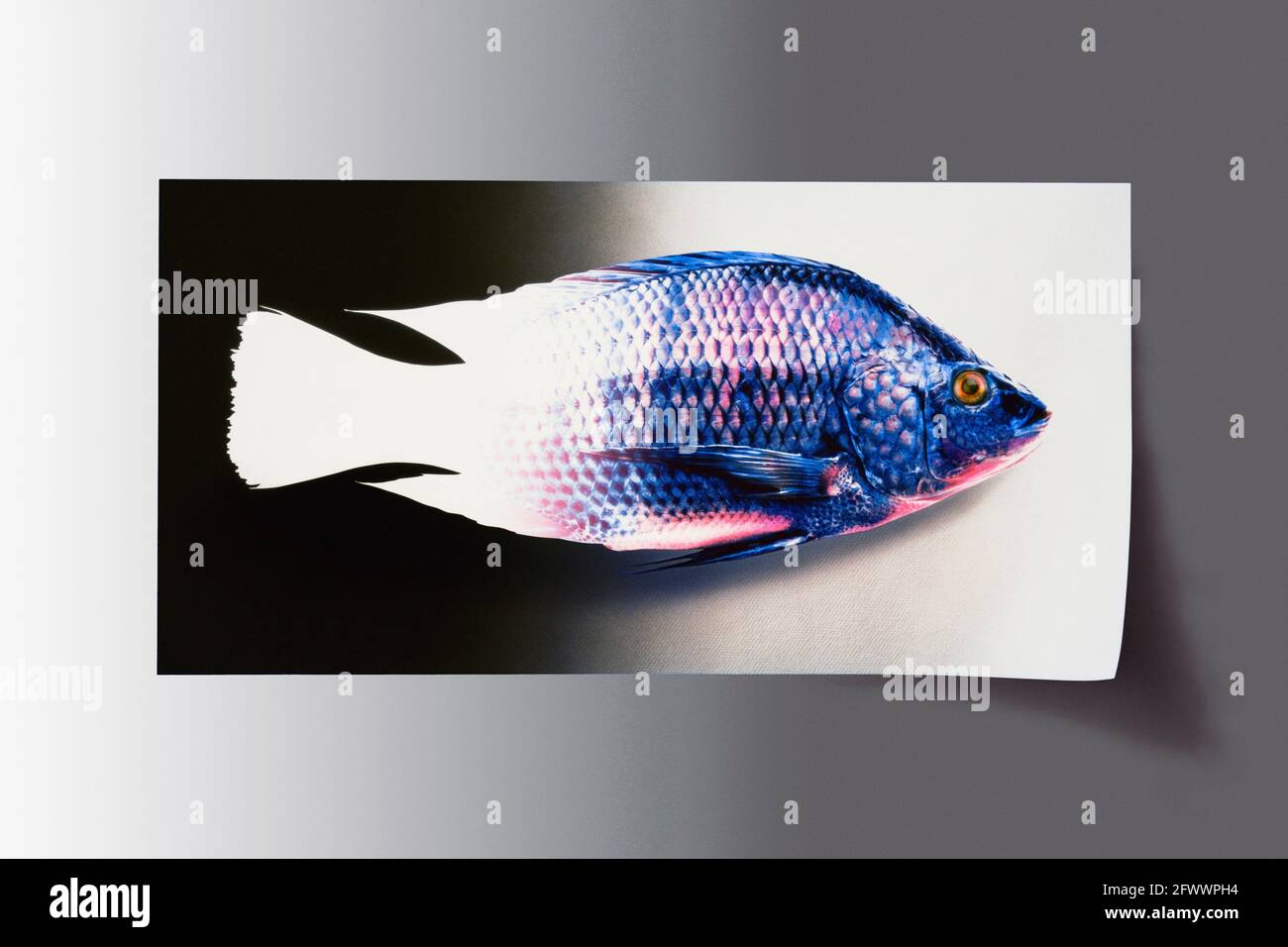 Positive negative art hi-res stock photography and images - Alamy