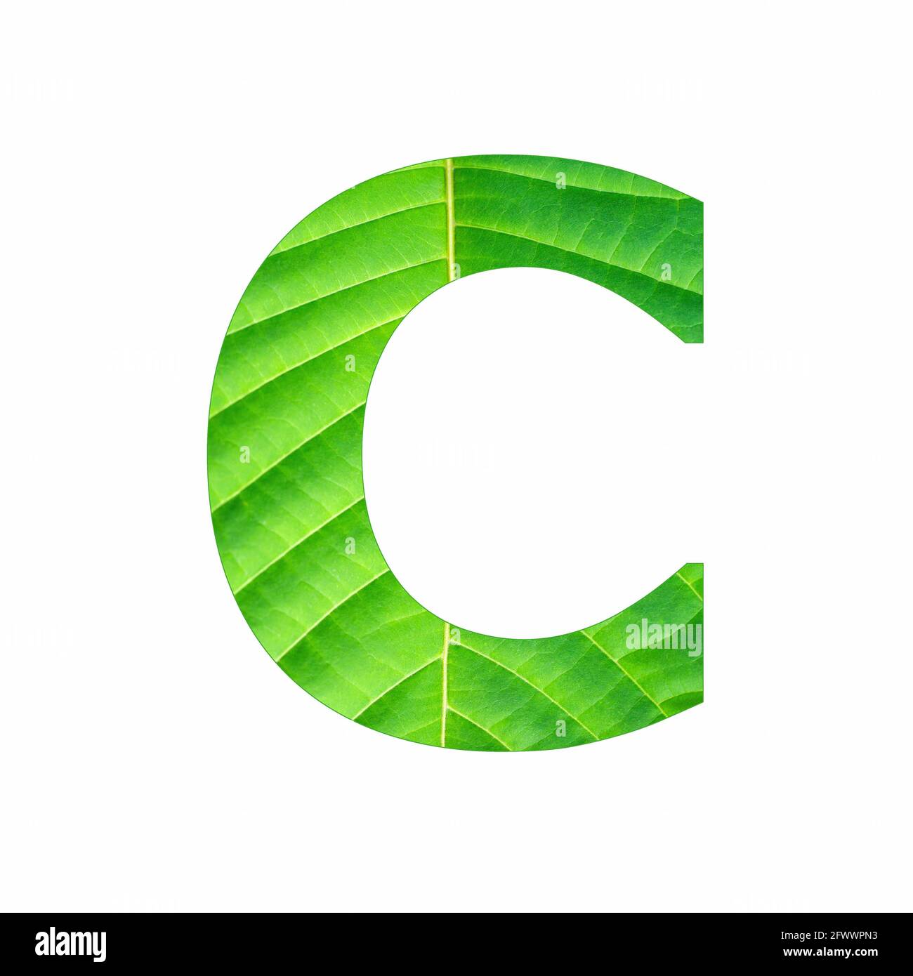 Alphabet Letter C - Green leaf plant background Stock Photo - Alamy