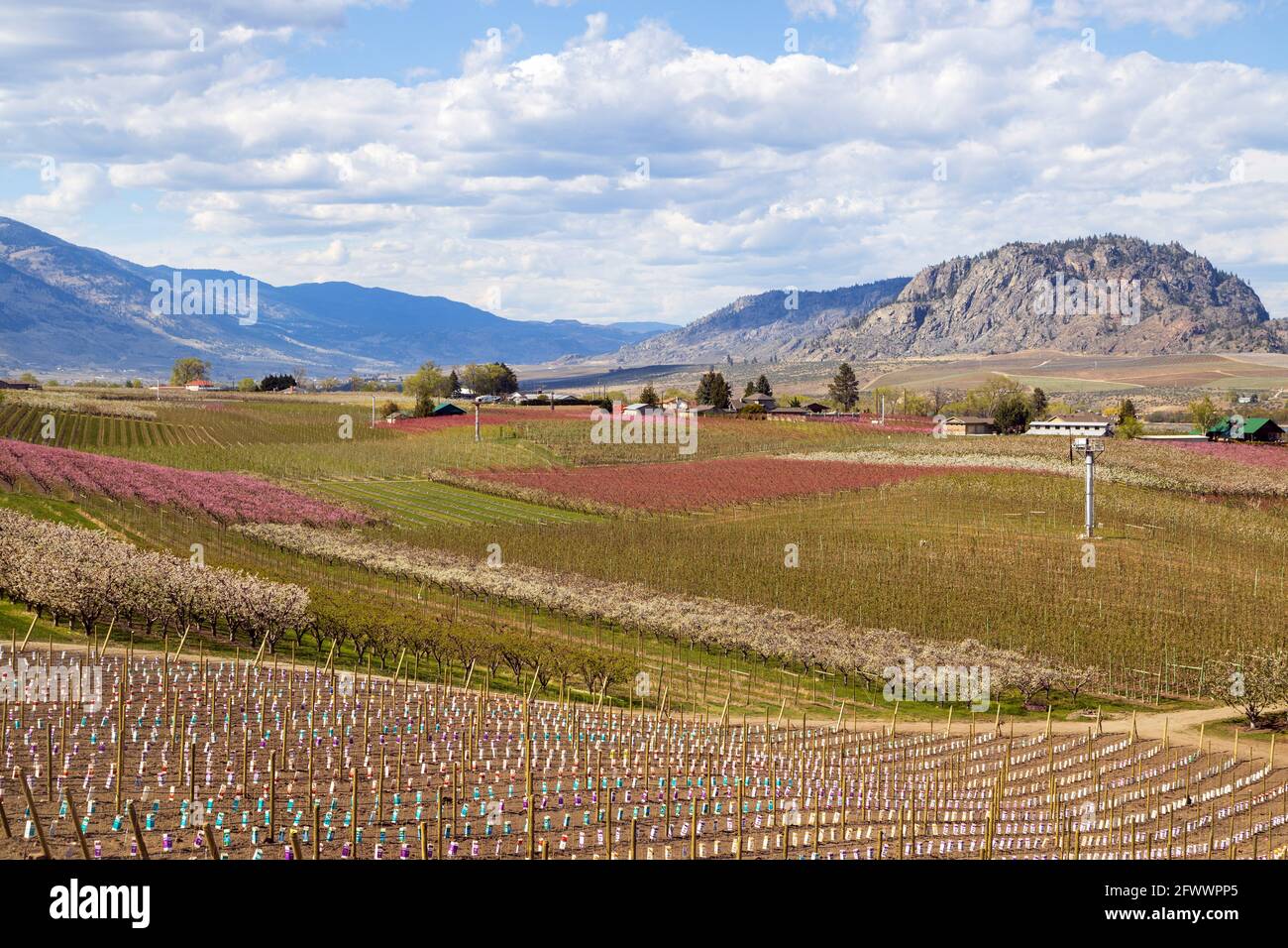 Canadian spring landscape hi-res stock photography and images - Alamy