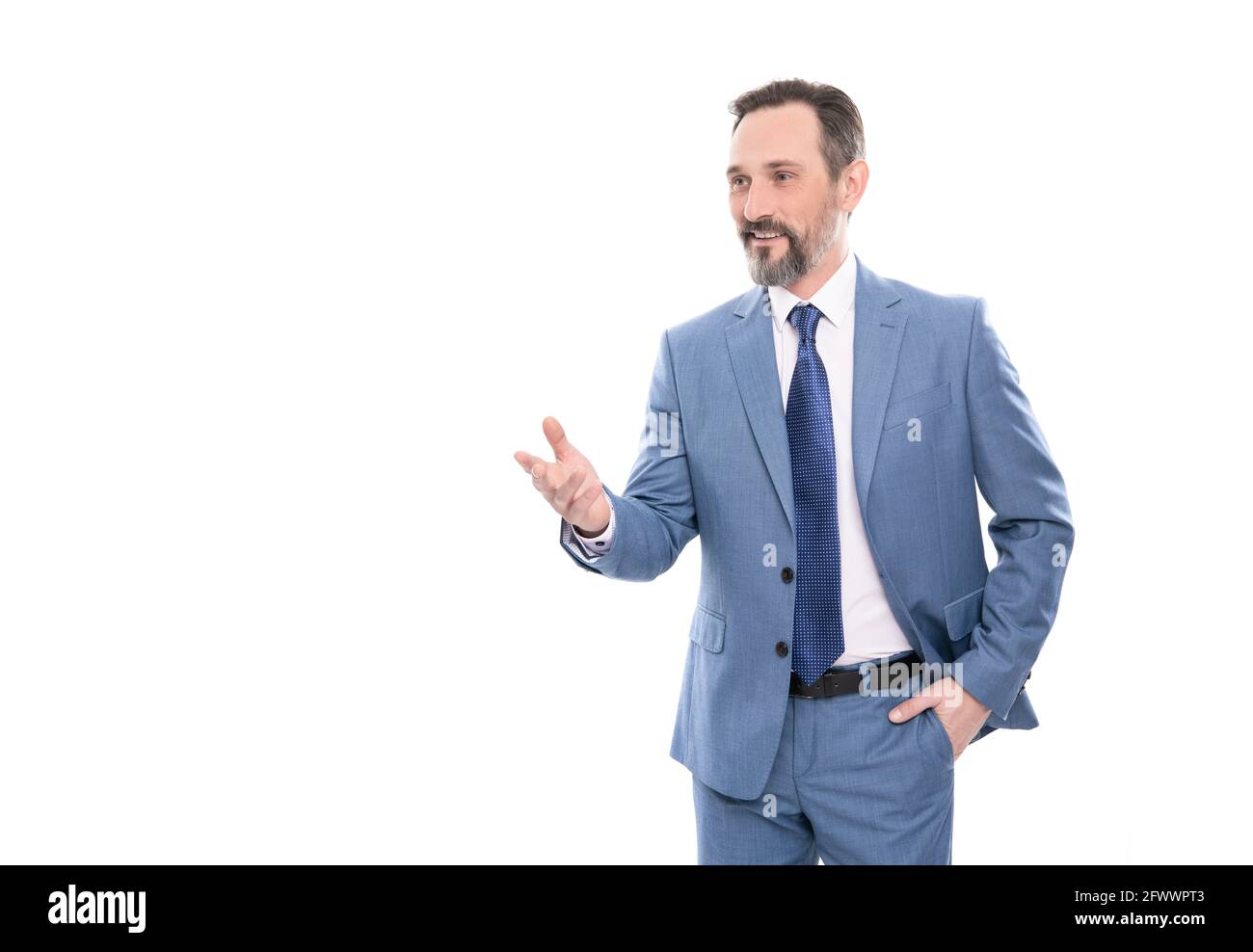 professional bearded ceo has conversation. confident boss with graying ...