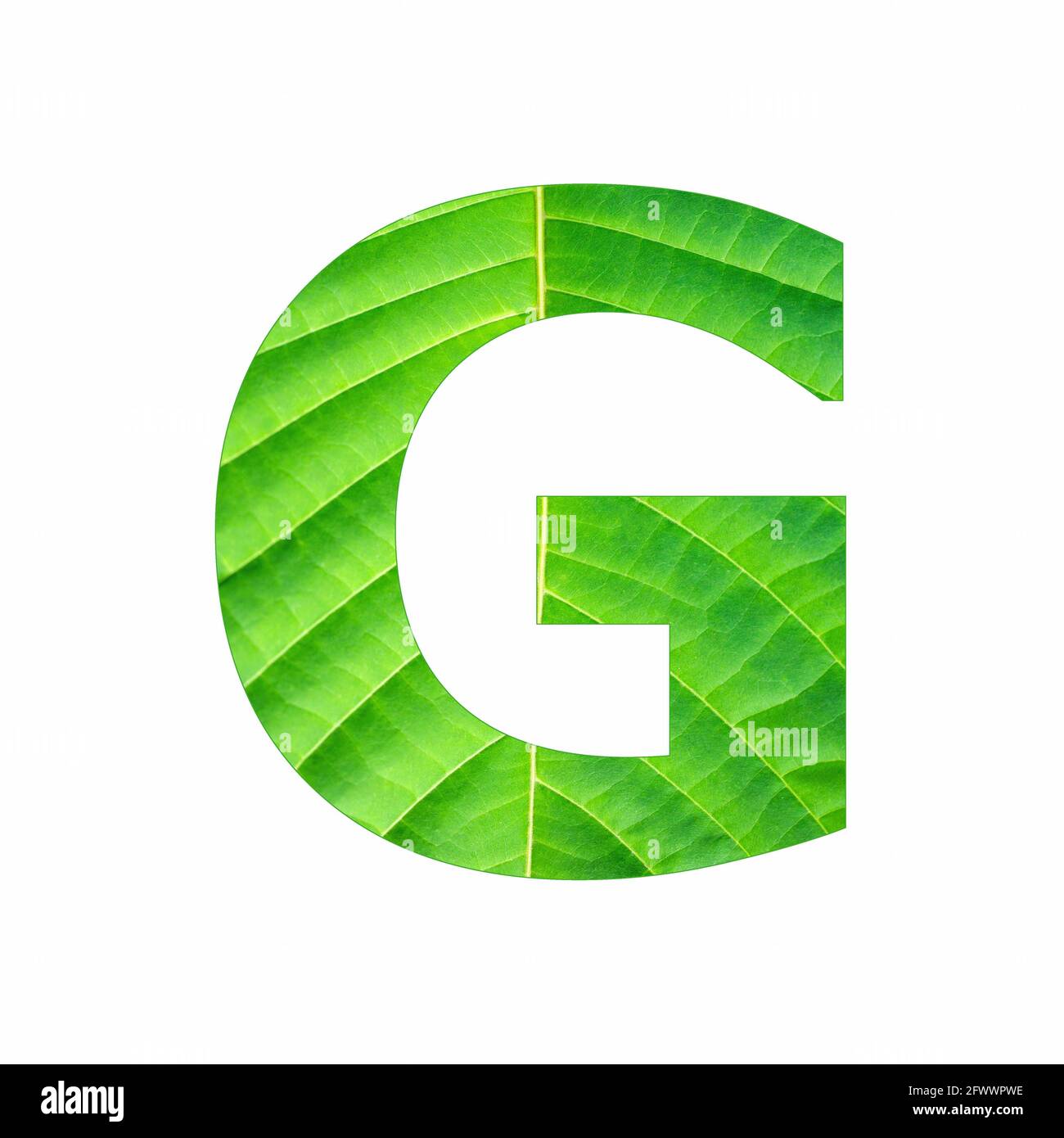 Alphabet Letter G - Green leaf plant background Stock Photo - Alamy