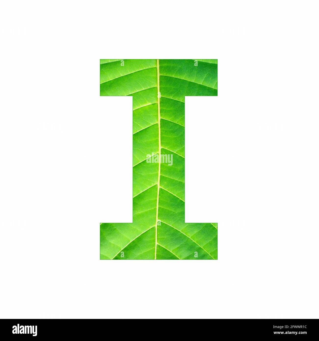 Alphabet Letter I - Green leaf plant background Stock Photo - Alamy