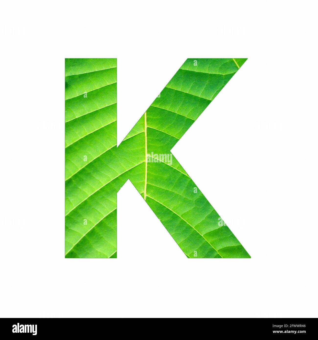 Alphabet Letter K - Green leaf plant background Stock Photo - Alamy
