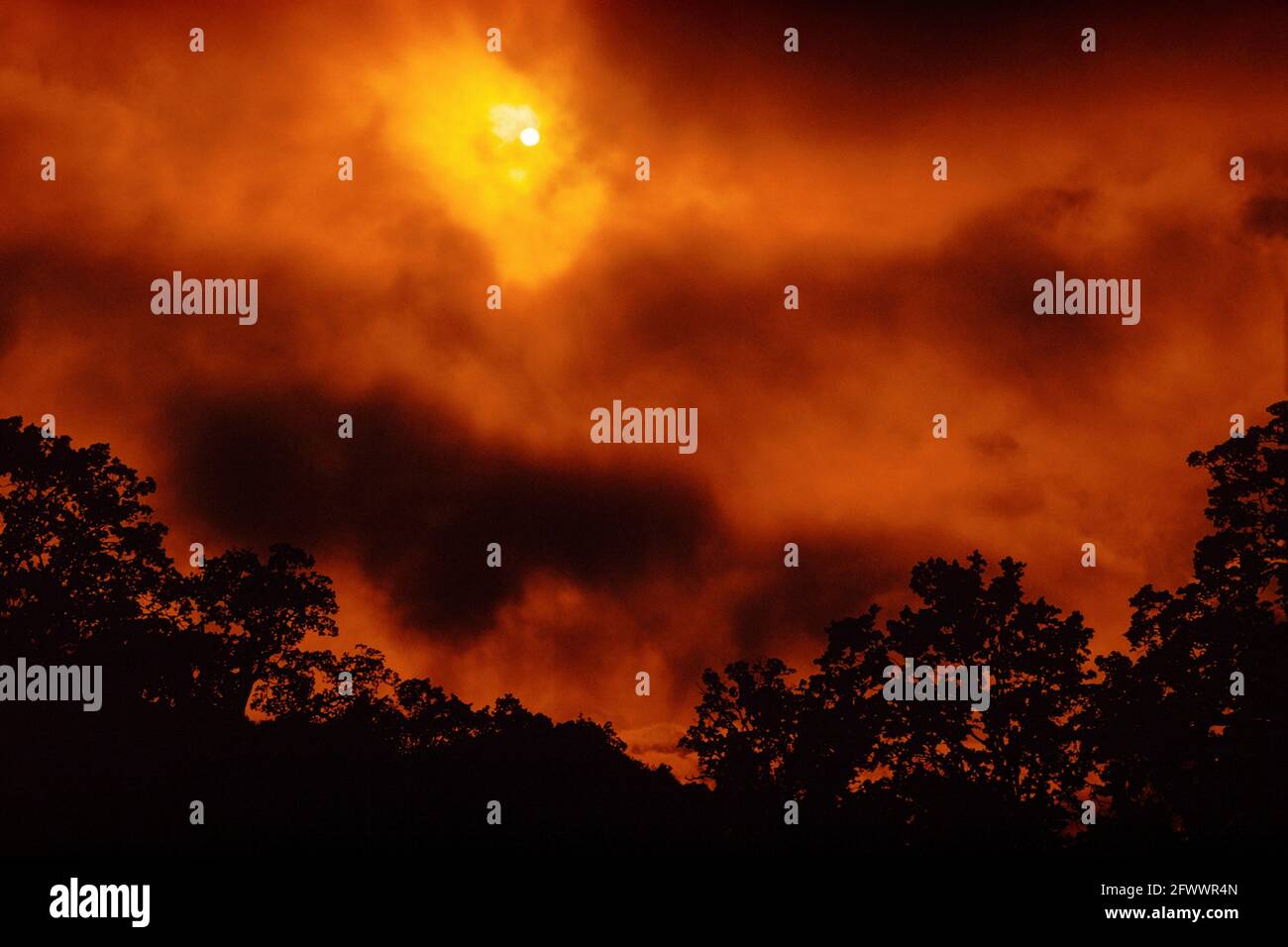 Smoke and Sun During the Marble Cone Fire Stock Photo - Alamy