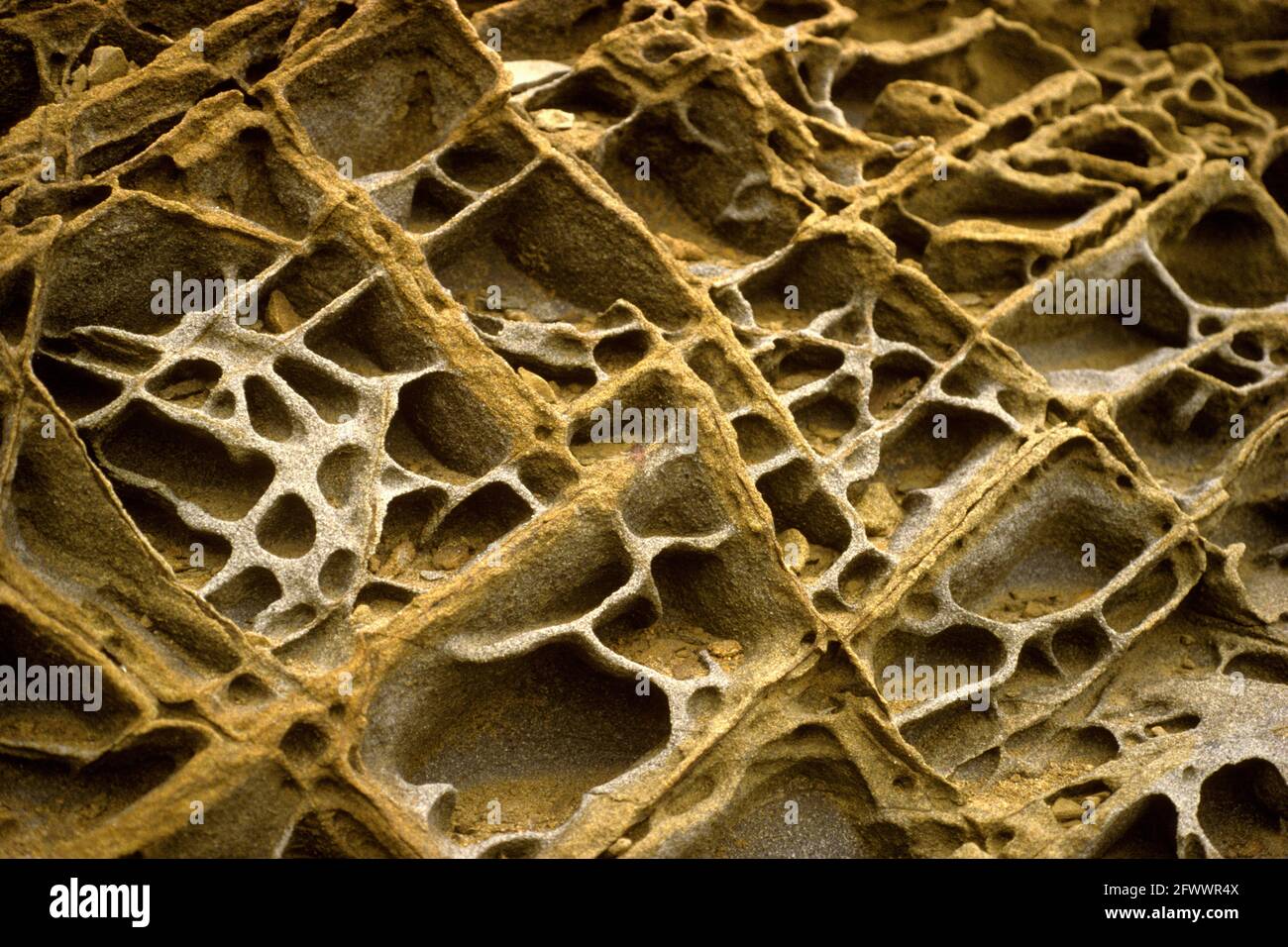 Marine sediments hi-res stock photography and images - Alamy