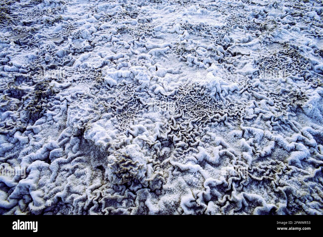 Lake Bed Salt Crystals Stock Photo - Alamy
