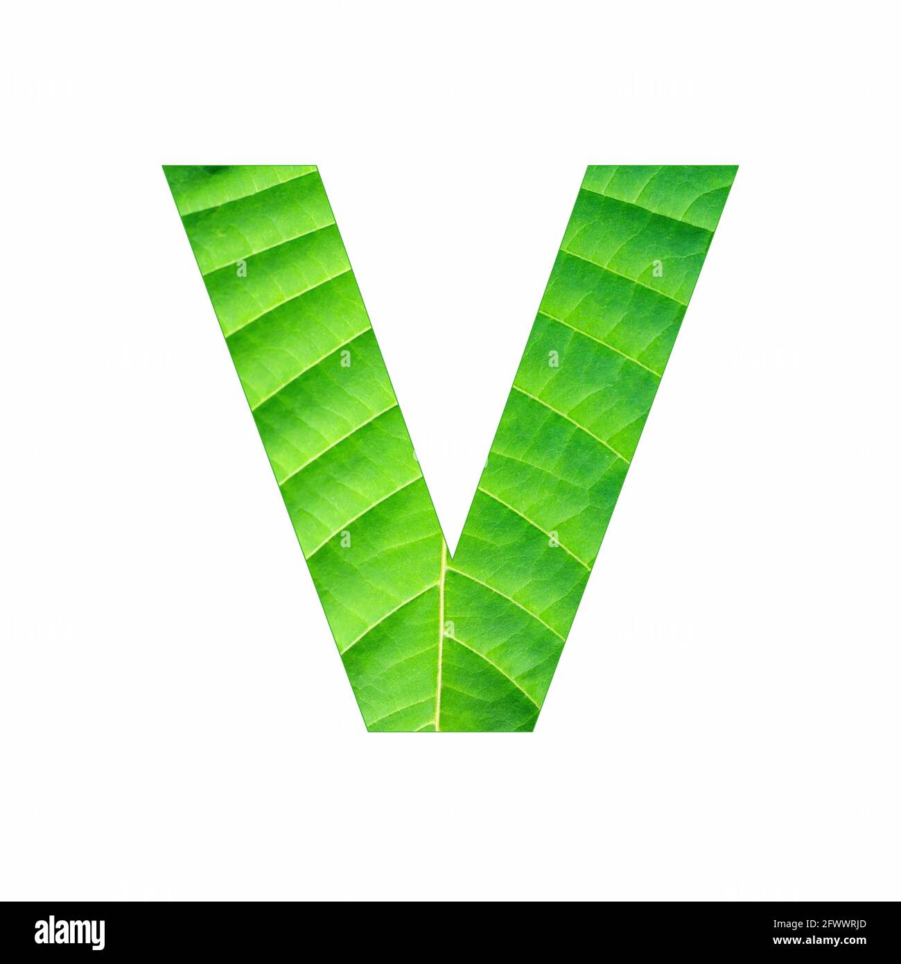 Alphabet Letter V - Green leaf plant background Stock Photo - Alamy