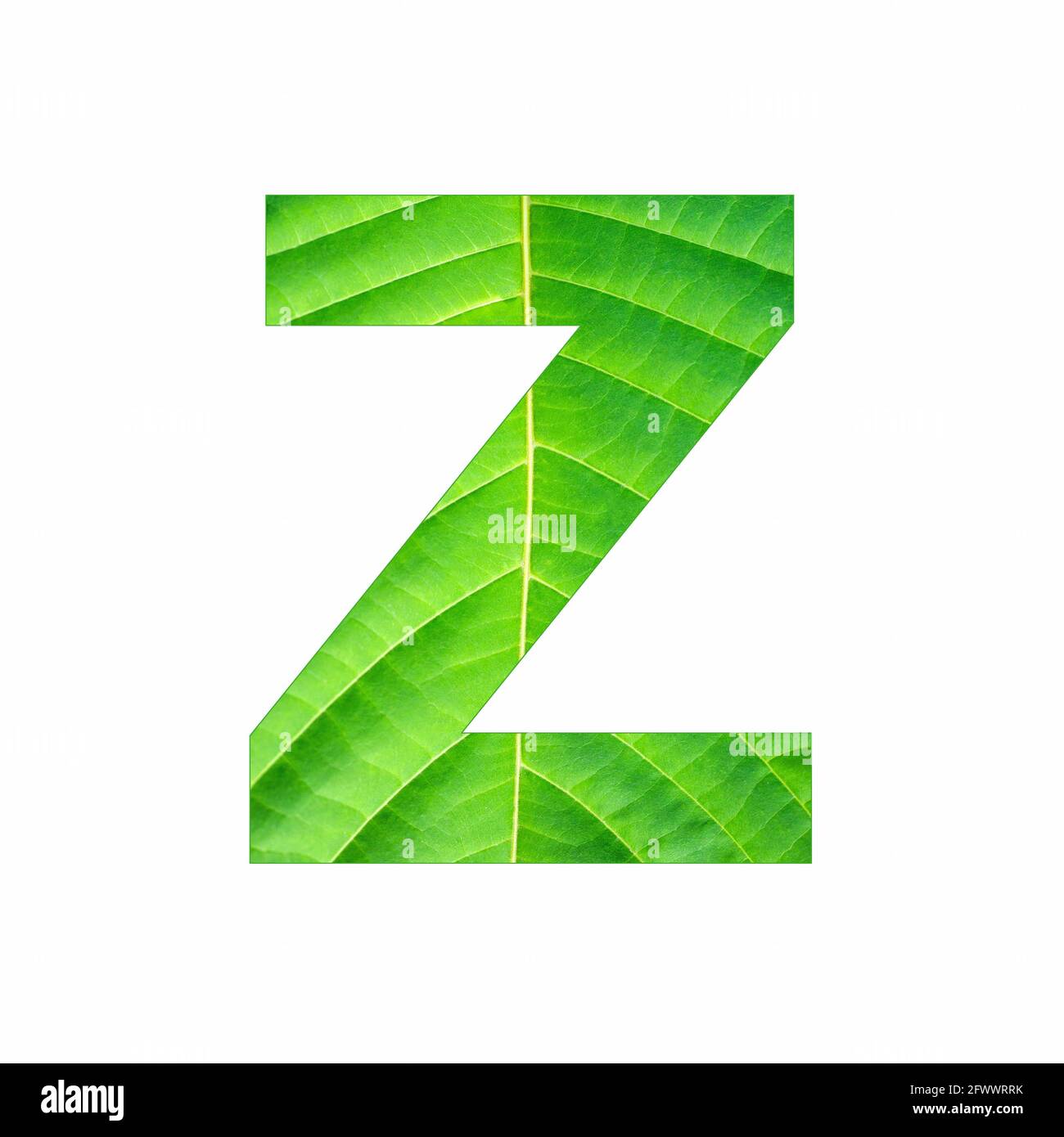 Alphabet Letter Z - Green leaf plant background Stock Photo - Alamy