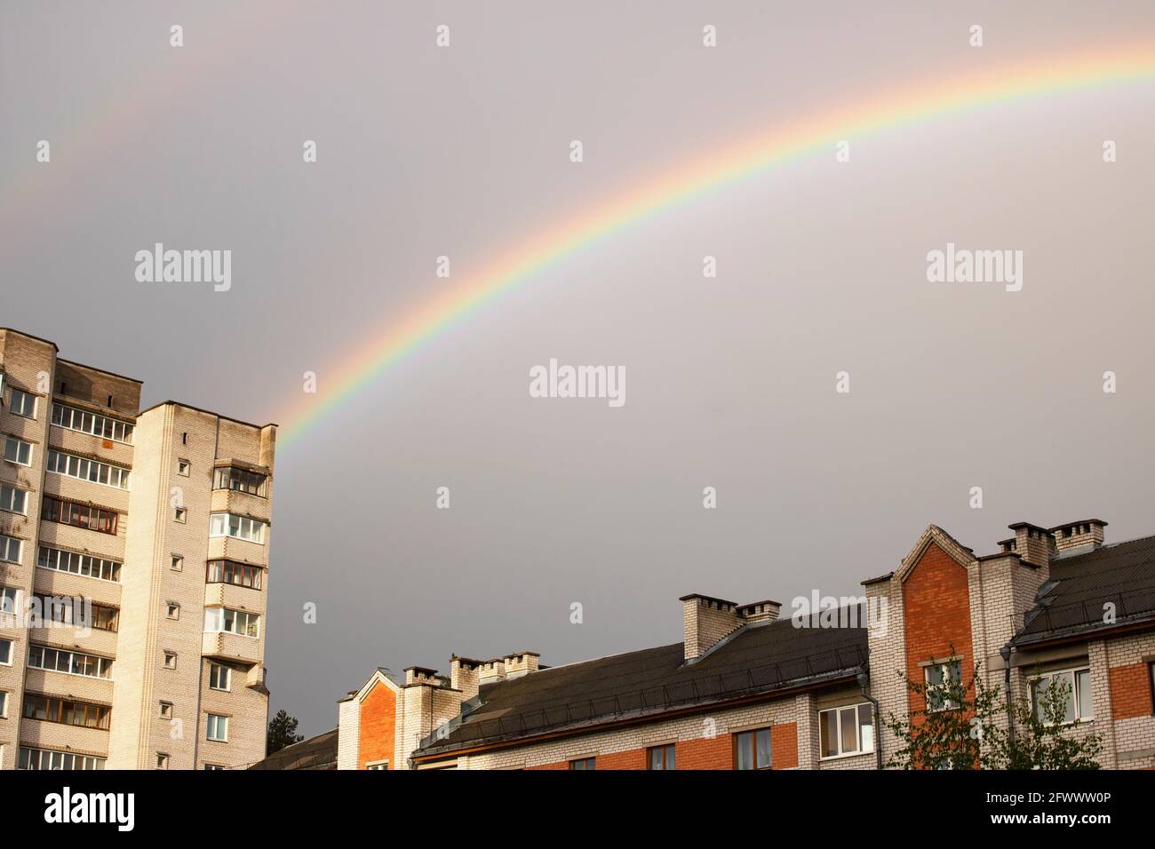 Rainbow over autumnal tree hi-res stock photography and images - Alamy