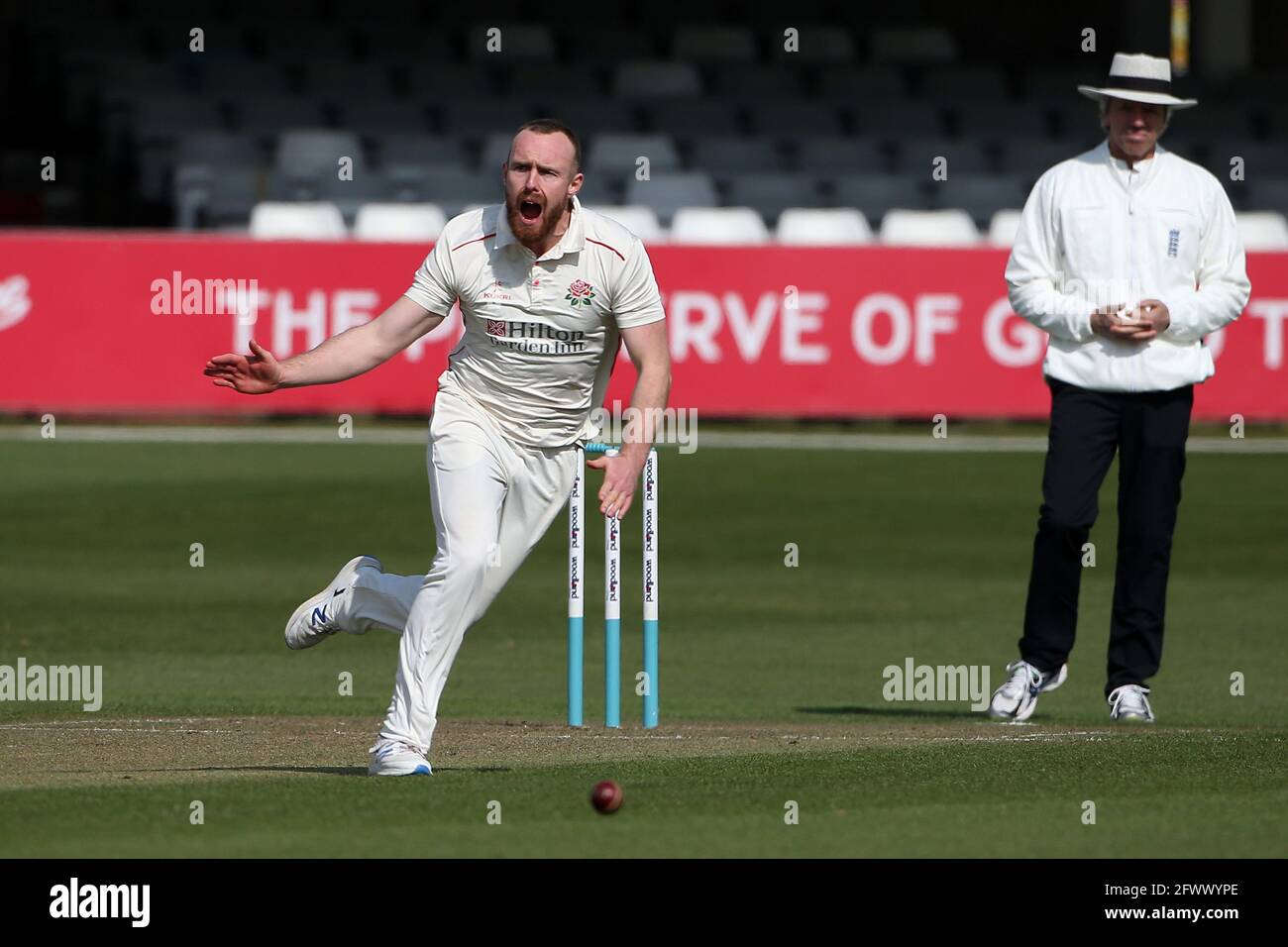 Cricket Lamb High Resolution Stock Photography and Images - Alamy