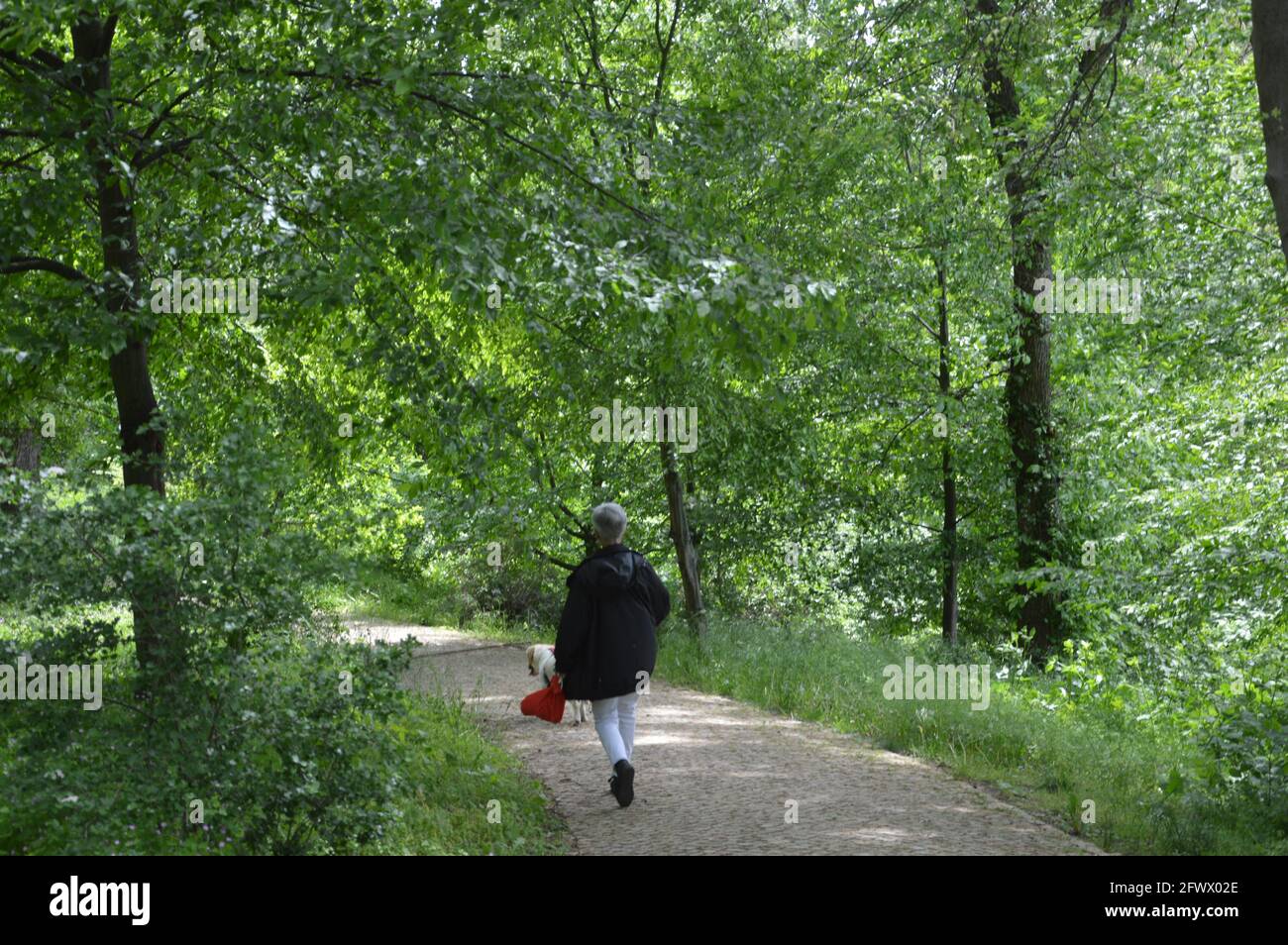 Parks in Potsdam, Germany, on Whit Monday - 24th May 2021 Stock Photo ...
