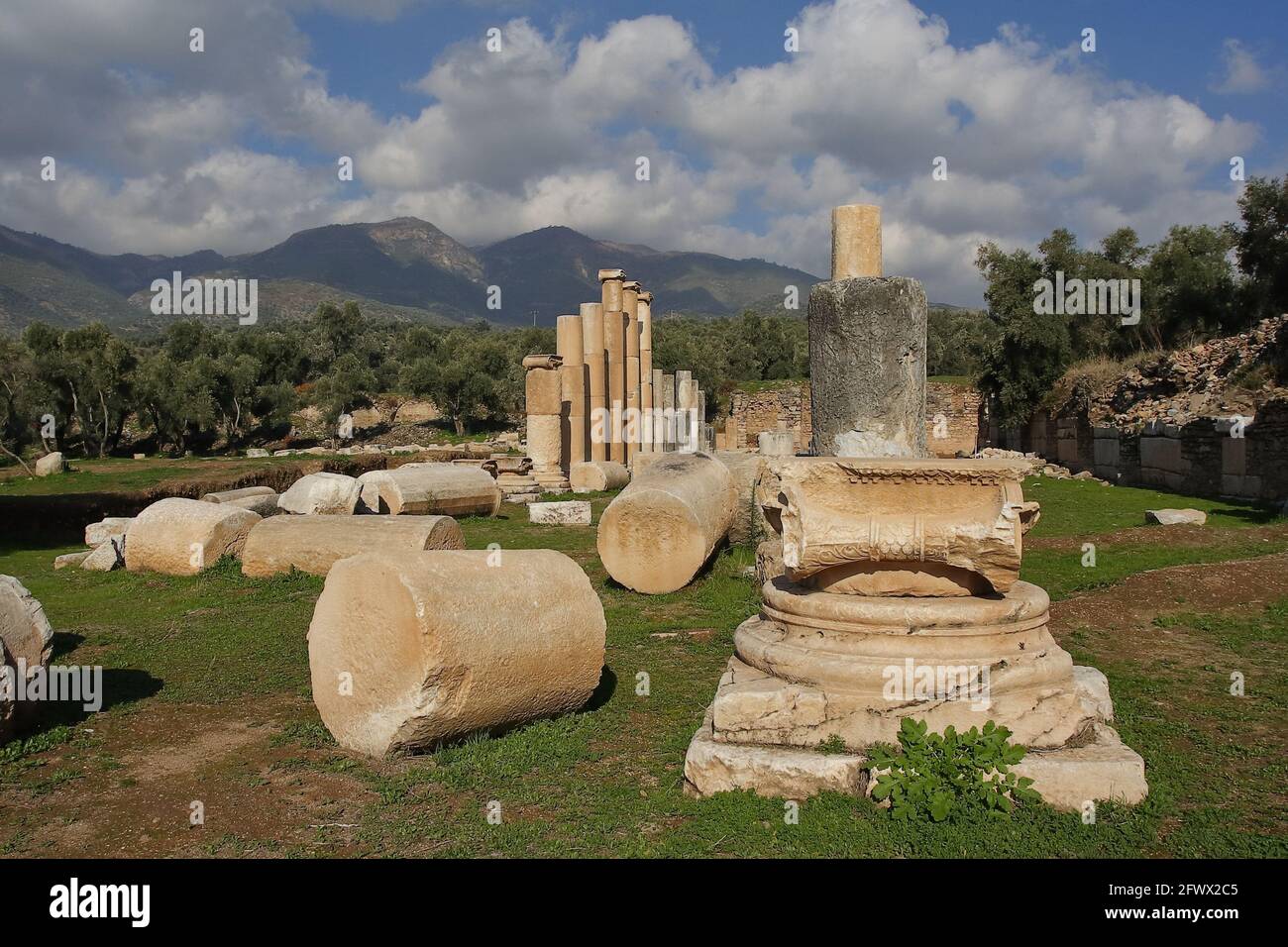 Ruins of ancient Nysa on the Maeander, Aydin Province, Turke Stock ...