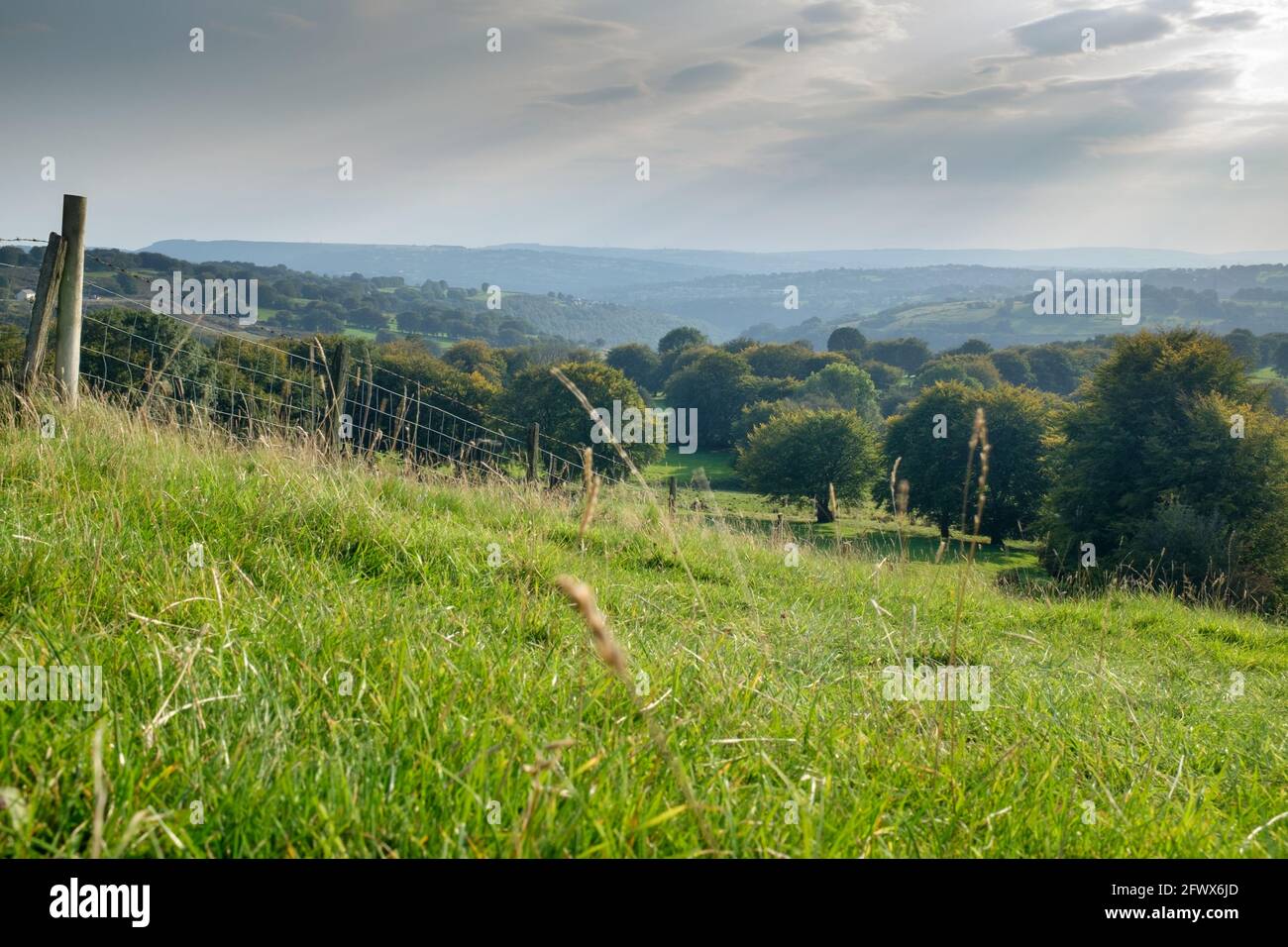 Country view in Wales Stock Photo - Alamy