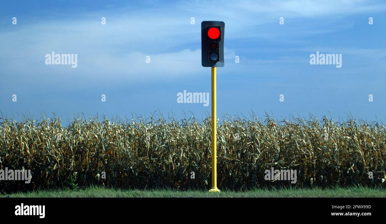 traffic signal in rural area agaisnt corn field and blue sky Stock ...