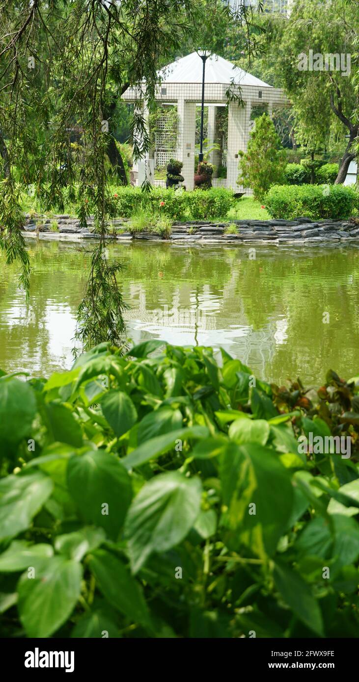 Tin shui wai hi-res stock photography and images - Alamy