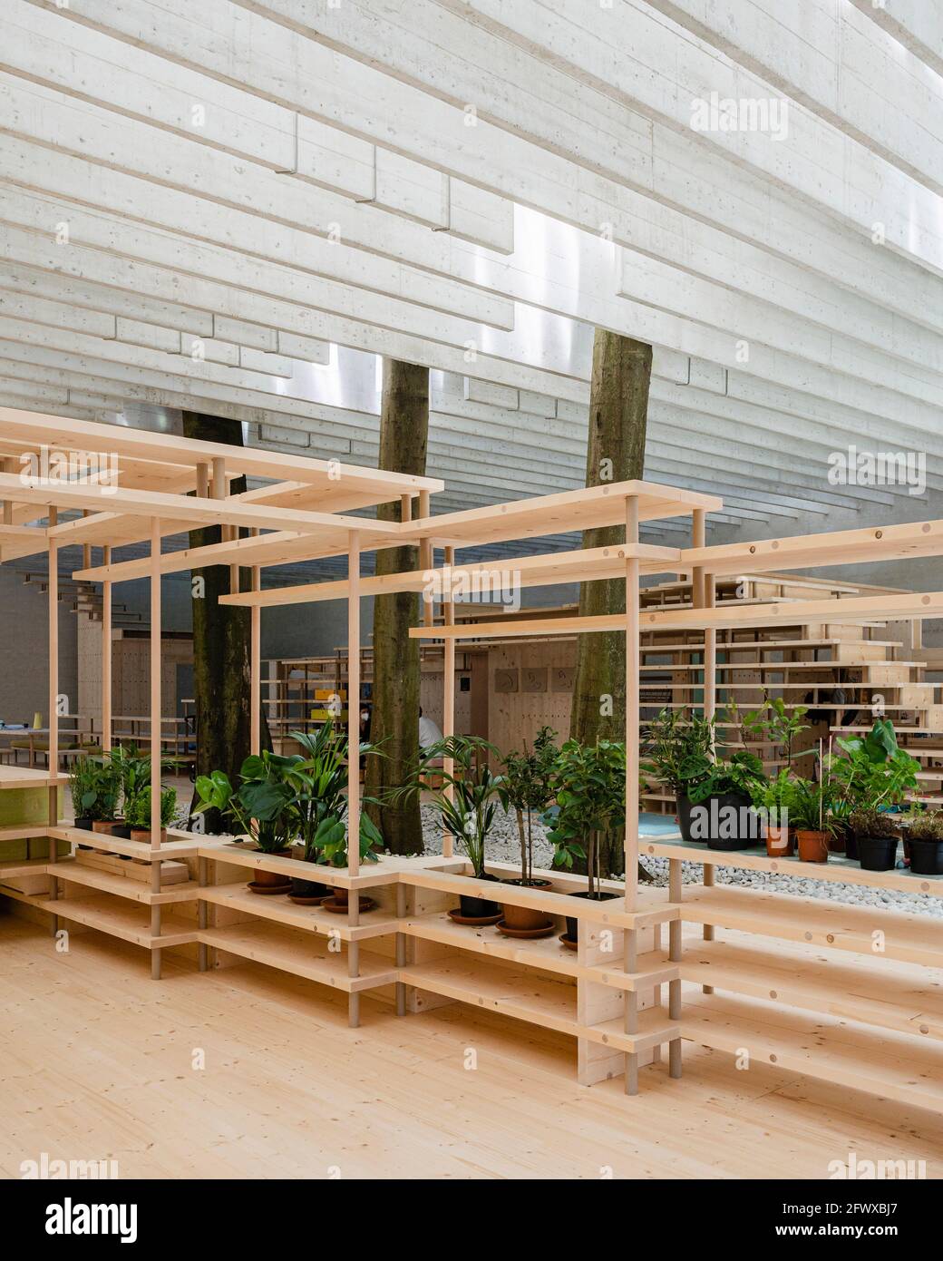 Nordic Pavilion. 17th Architecture Biennale Venice, Venice, Italy ...