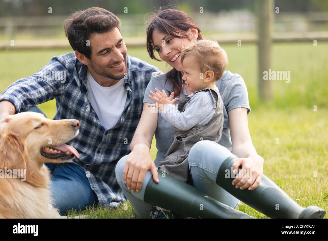 parents with their child and dog in the countryside Stock Photo - Alamy