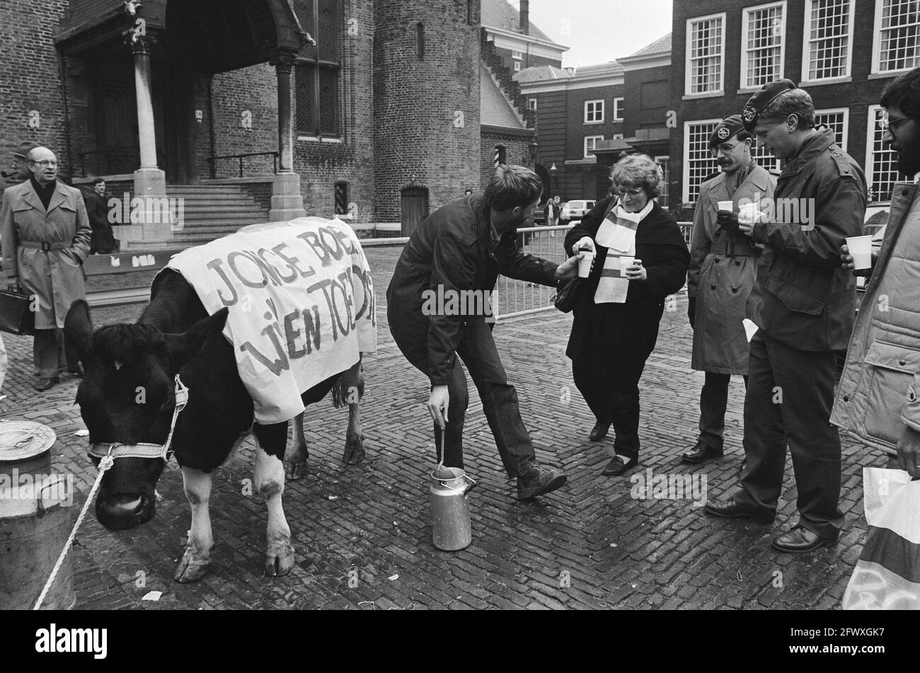 Protest dairy farmers at Binnenhof against super levy cow is milked and ...