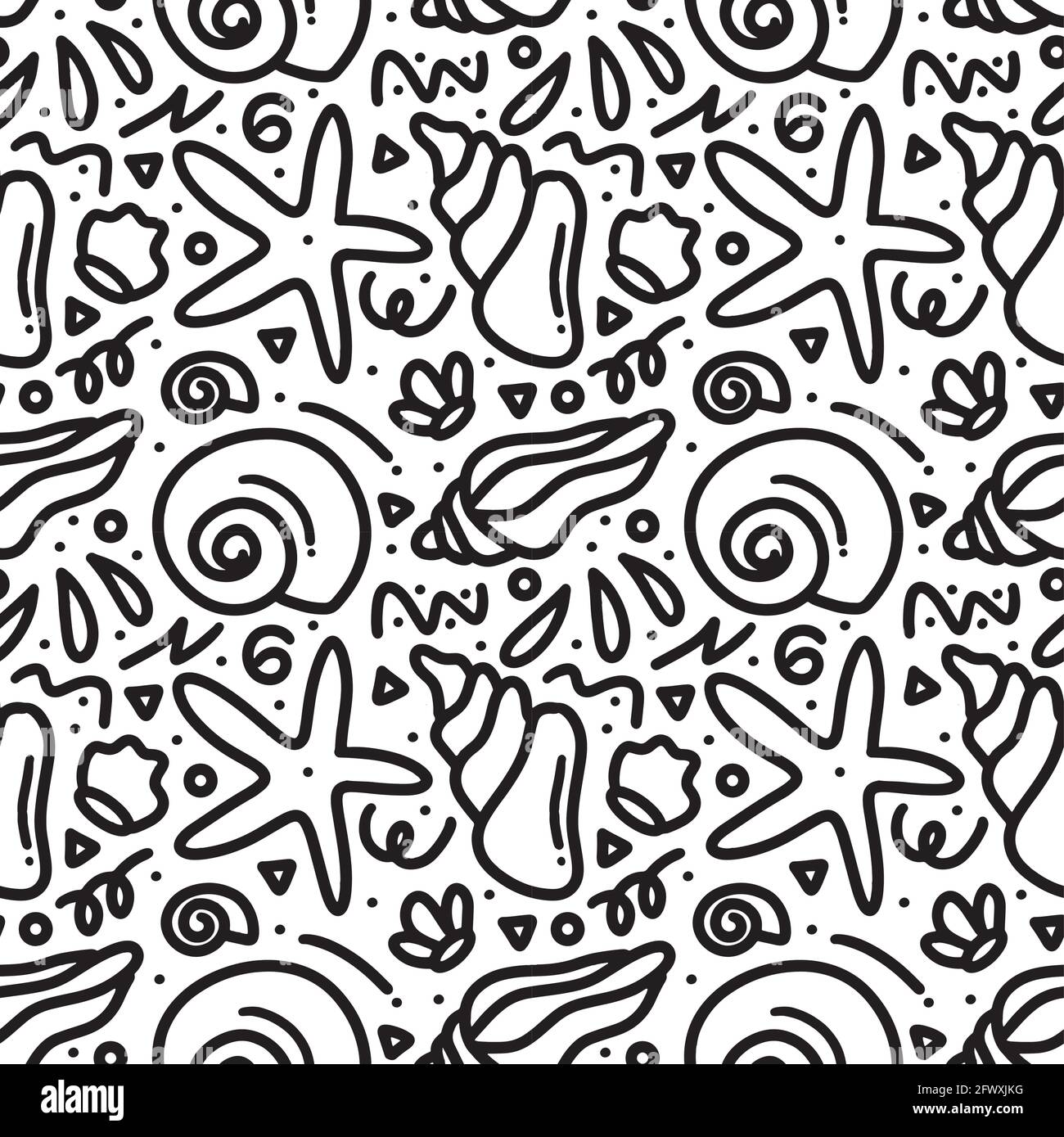 Sea shells hand drawn Black and White Stock Photos & Images - Alamy