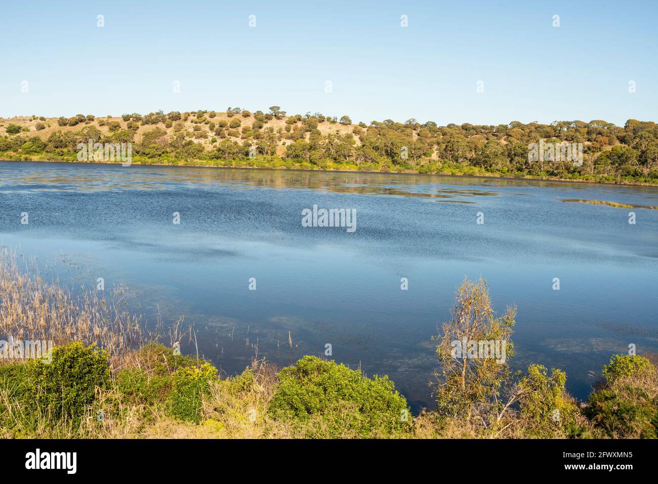 West Lake, Tower Hill, Victoria Stock Photo - Alamy