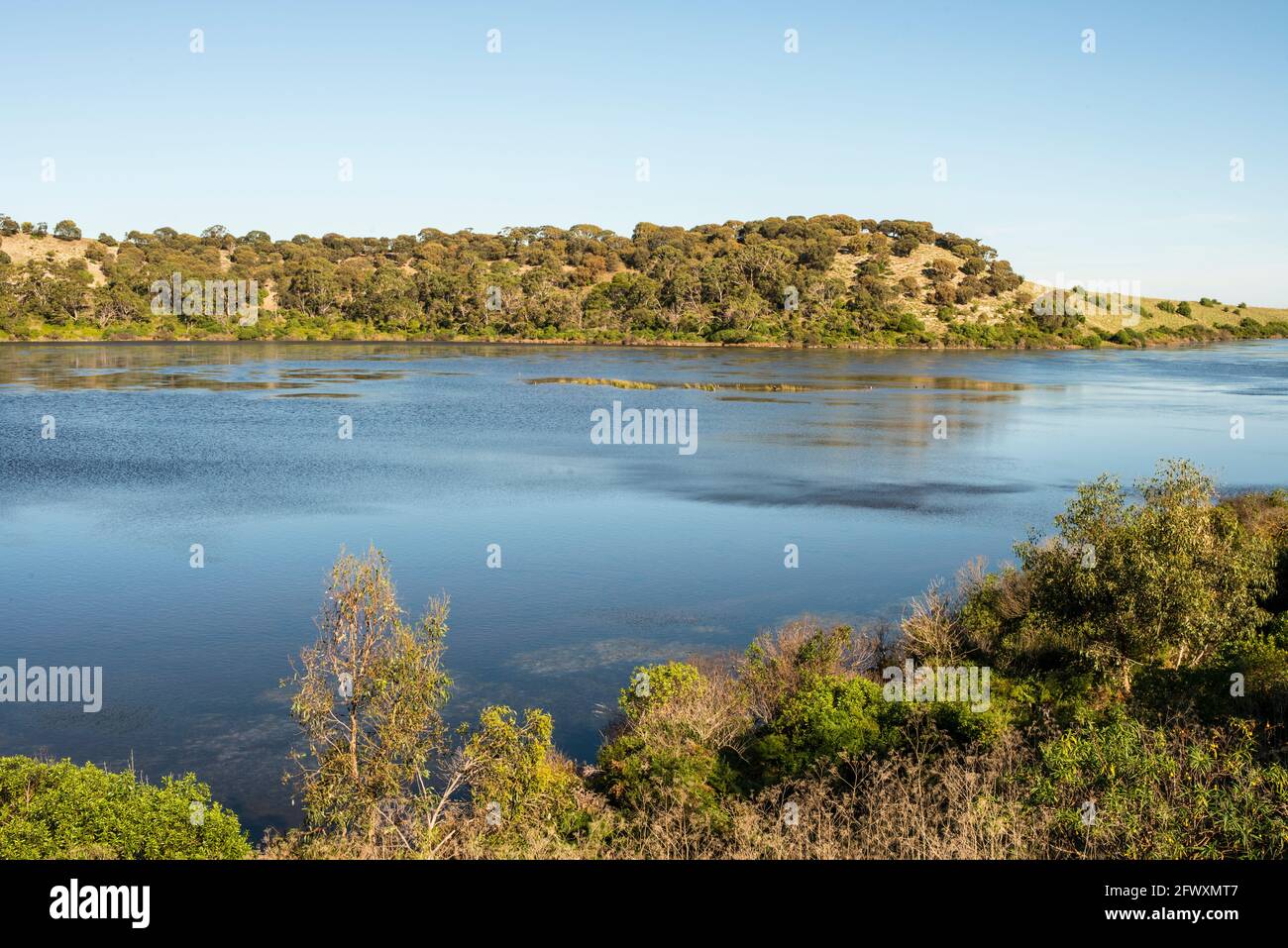 West Lake, Tower Hill, Victoria Stock Photo - Alamy
