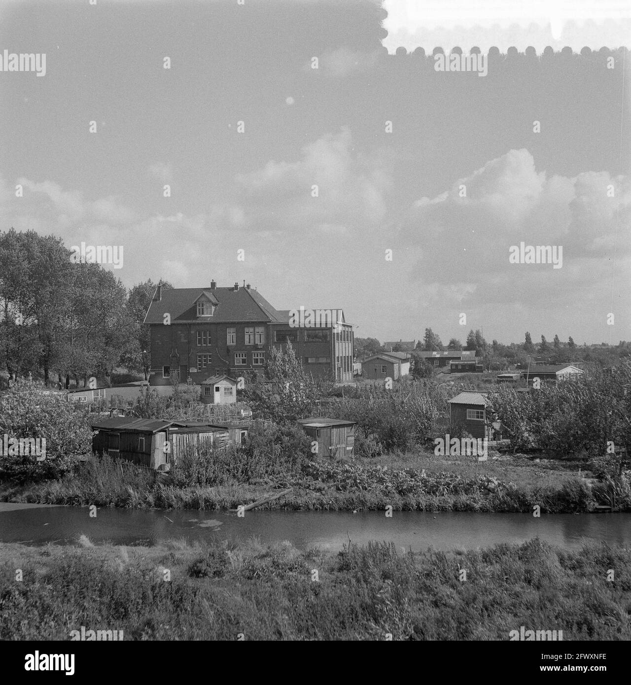 Radioactive frogs hi-res stock photography and images - Alamy